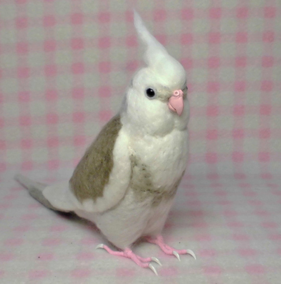 Cockatiel ・WF :wool Parakeet stuffed Animals - Etsy