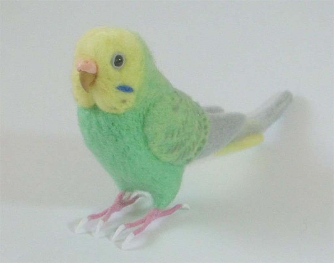 Budgie・2 :wool Parakeet / Stuffed Animals - Etsy