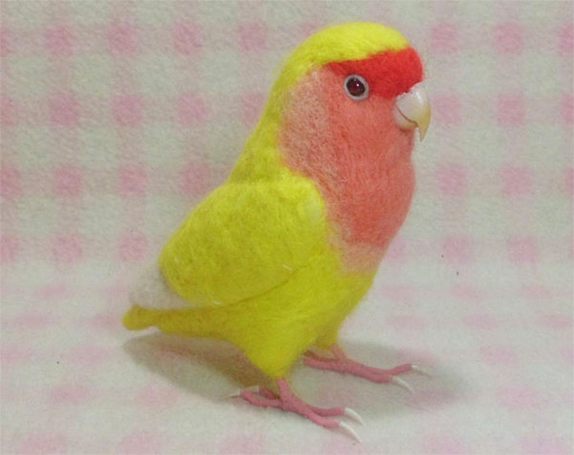 Peach-faced Lovebird・2 :wool Parakeet / stuffed Animals - Etsy