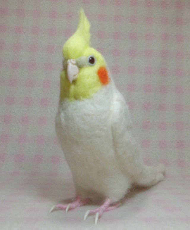 Cockatiel ・1 :wool Parakeet stuffed Animals - Etsy