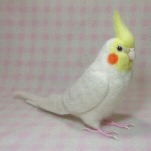 Cockatiel ・1 :wool Parakeet stuffed Animals - Etsy