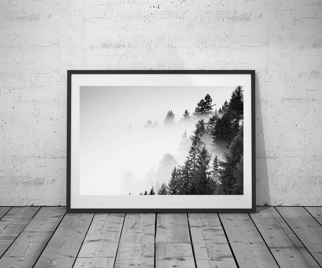 Nature Photography, Forest Photo, Digital Print, Black-white Photo ...