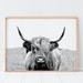 Highland Cow Print, Printable Wall Art, Modern Wall Art, Shaggy Cow ...