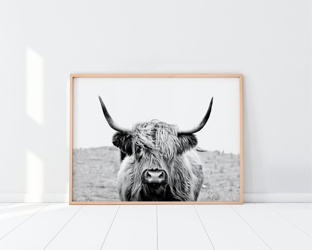 Highland Cow Print, Printable Wall Art, Modern Wall Art, Shaggy Cow ...