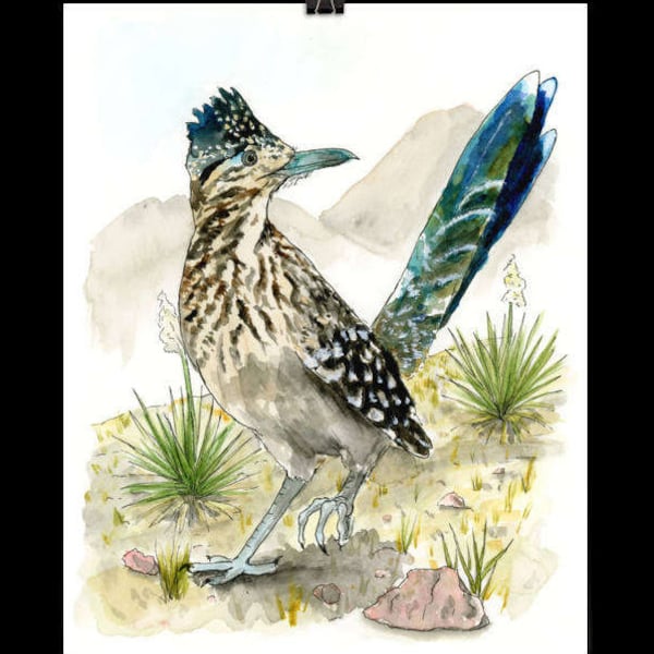 Roadrunner - Etsy