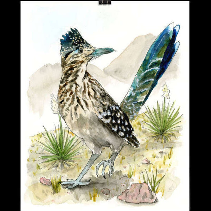 Roadrunner - Etsy