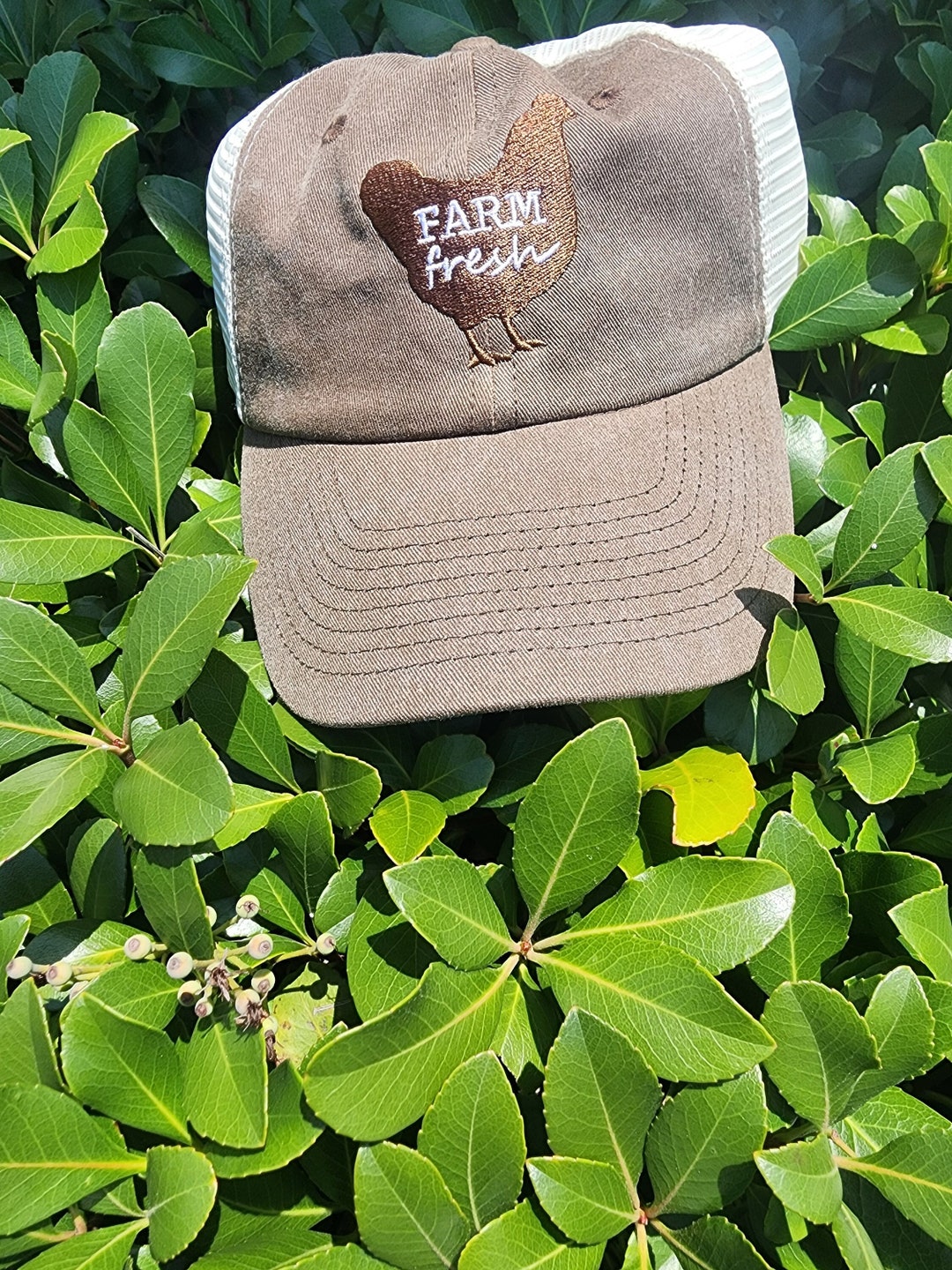 Chicken Hat, Farm Fresh Eggs, Hen Hat, Chicken Lady, Trucker Hat ...