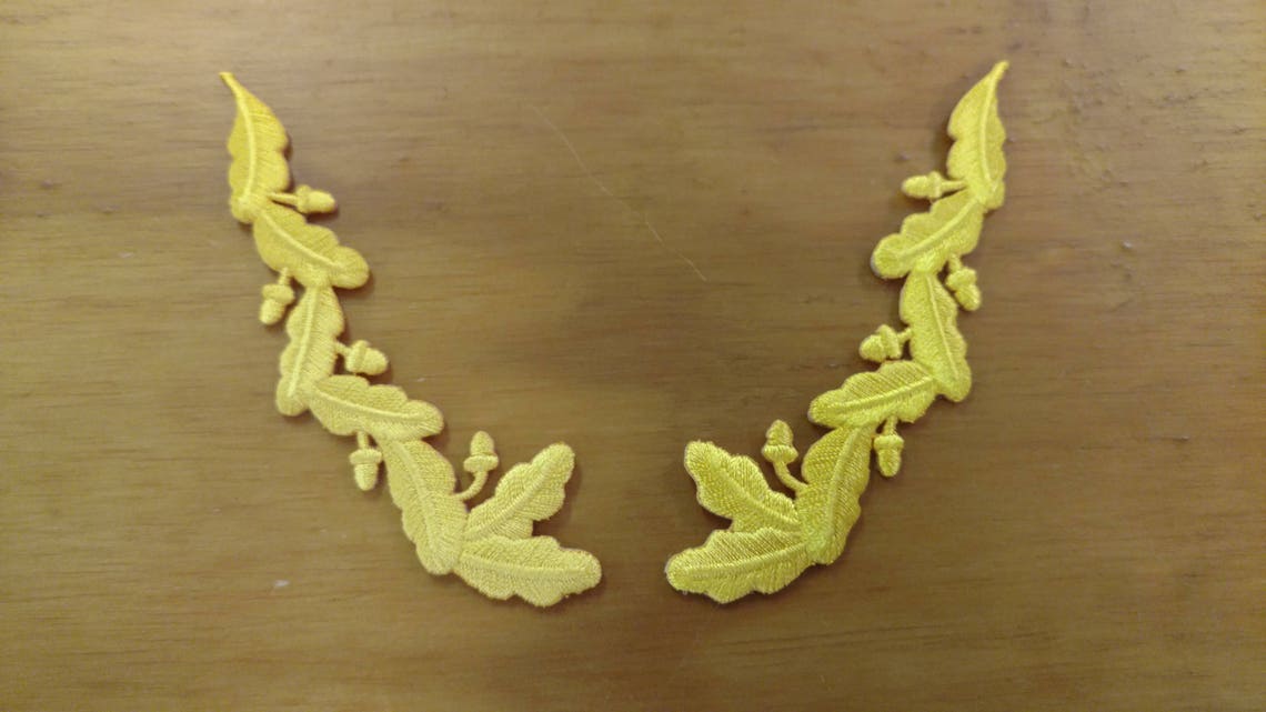 O-5 O-6 Officer Scrambled Eggs, 1 Pair Captain Eggs for Hat, Heat Press ...