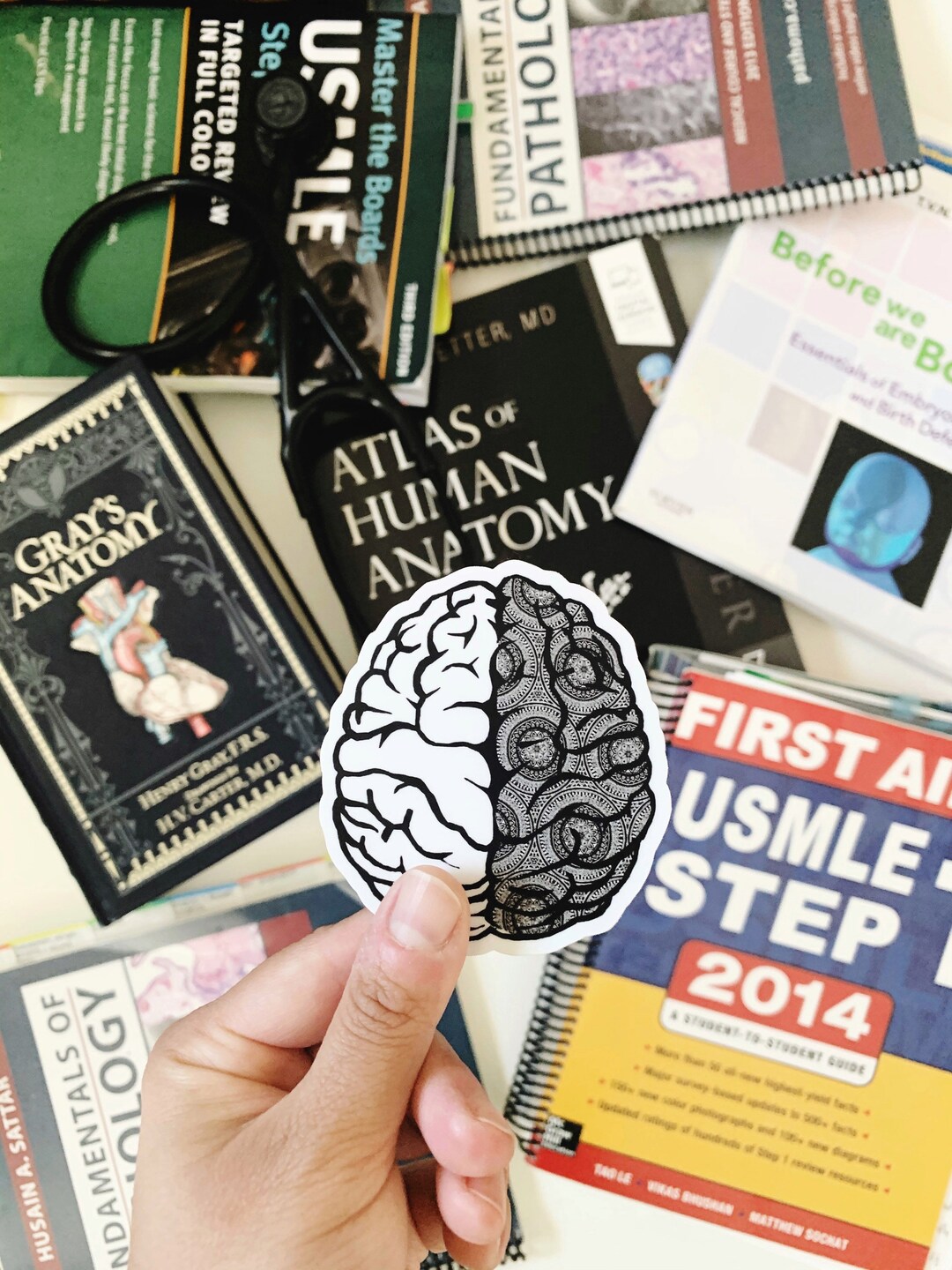 Brain Sticker- Anatomy Art- Brain Anatomy Sticker- Vinyl Sticker ...