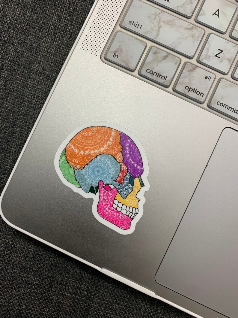 Anatomical Skull Sticker Anatomy Medical School Doctor - Etsy