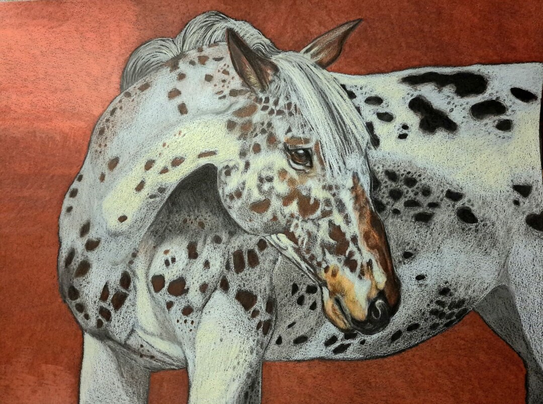 Appaloosa Pencil Drawing - Etsy