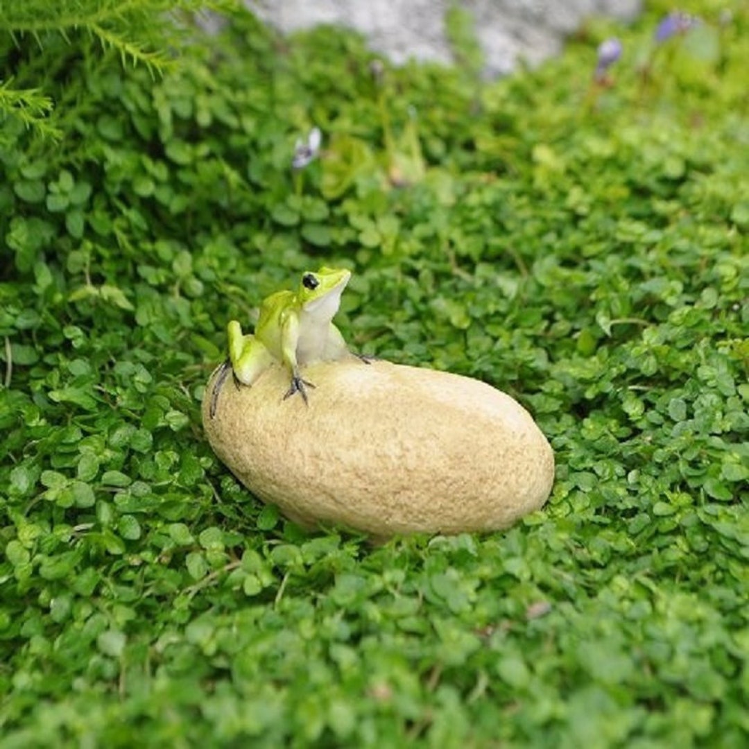 Miniature Garden Mini Tree Frog on Stone, Height 1.5 Inches, Terrarium ...