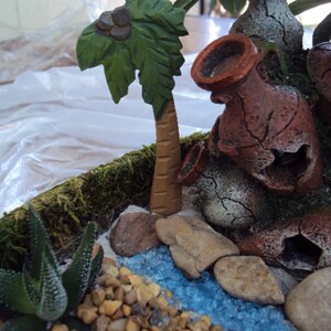 Miniature Garden Mini Palm Tree, Height 4 Inches, Fairy Garden ...