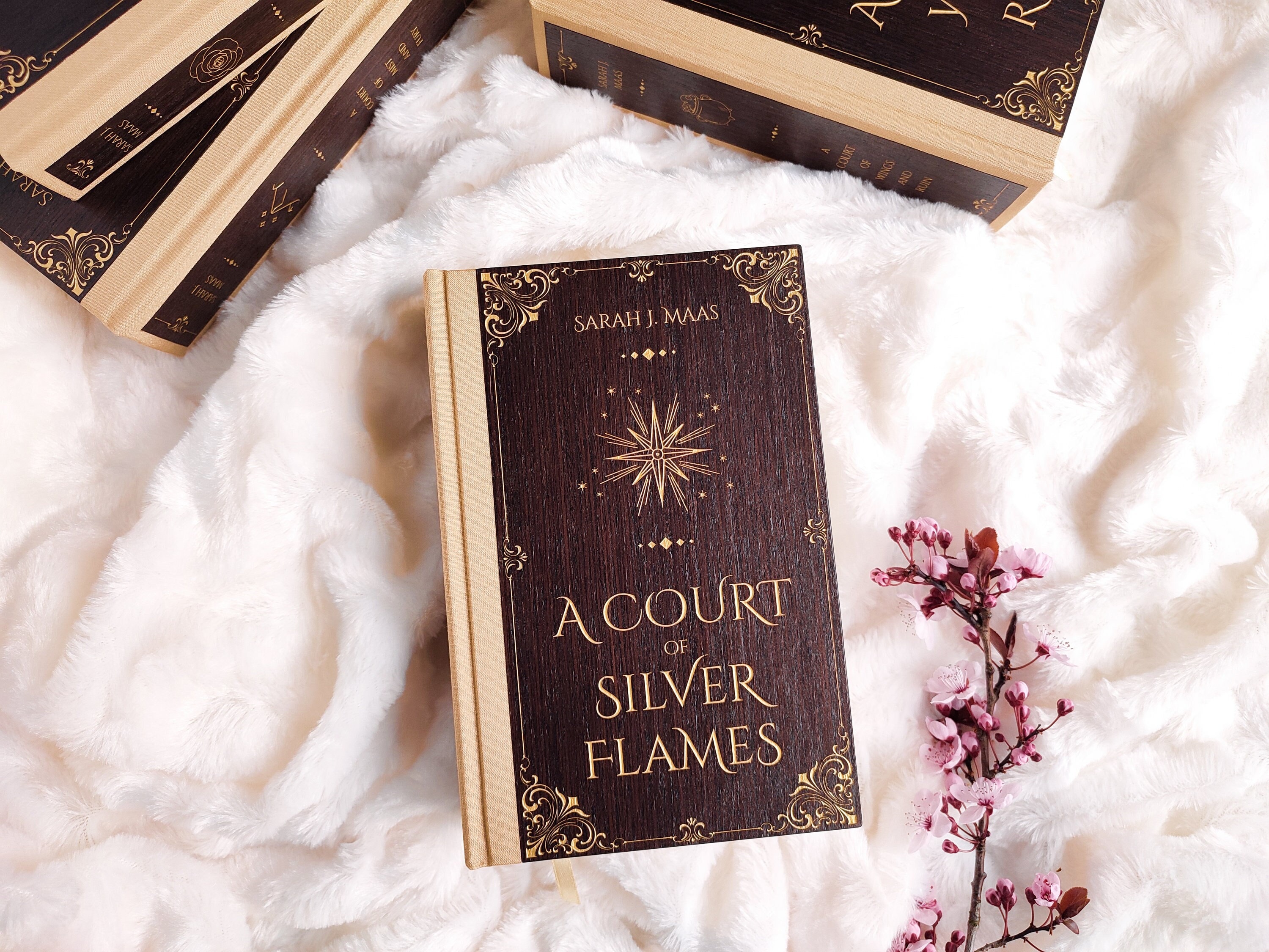 A Court of Silver Flames Special Edition, ACOSF Book Rebound, Painted ...