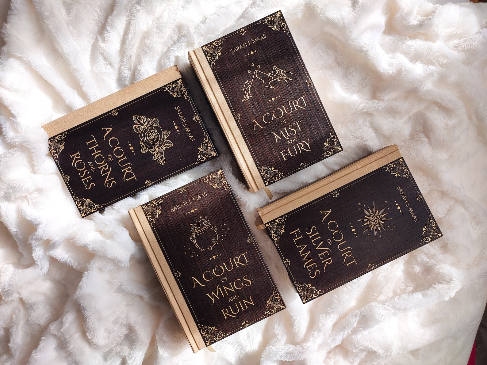 ACOTAR Series Set Special Edition Collectors, Exclusive Rebind of ...