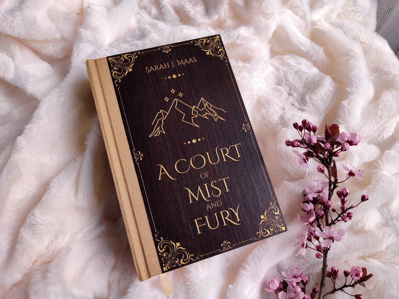 A Court of Mist and Fury Special Edition Book, ACOMAF Exclusive Rebound ...
