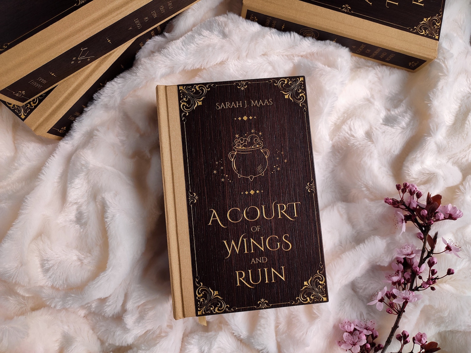 A Court of Wings and Ruin Collector Edition, ACOWAR Book Rebind, ACOTAR ...