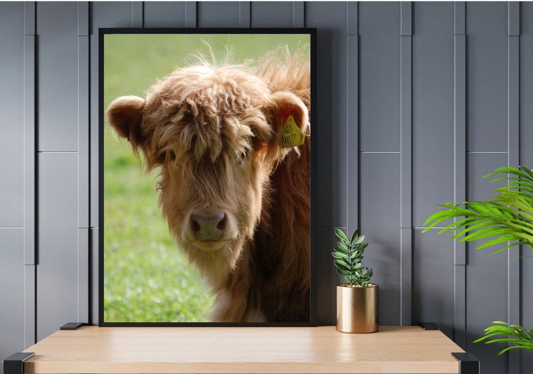 Highland Cow Wall Art Digital Wall Decor Downloadable Print Cow Decor ...