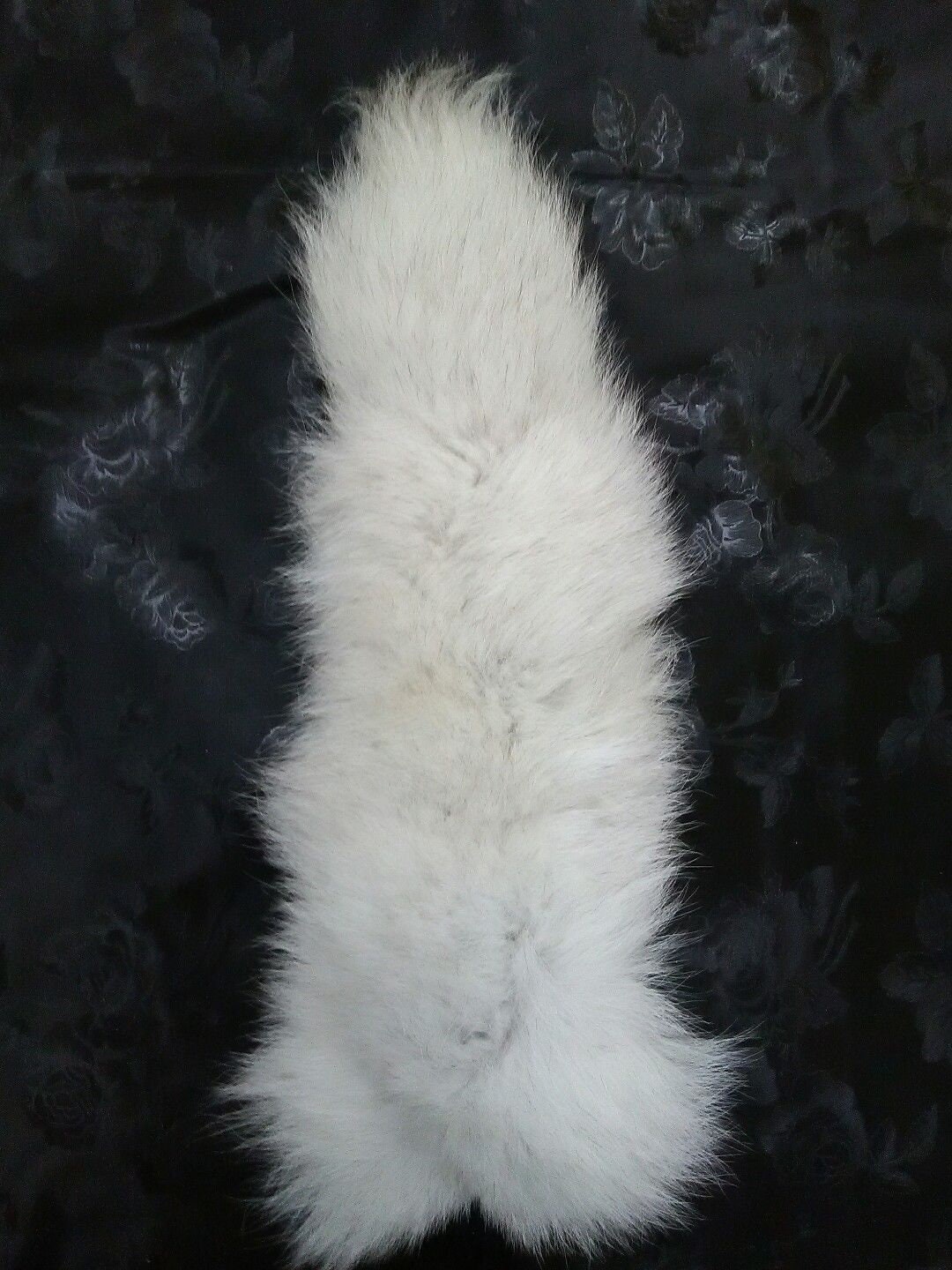White silver 100% real arctic fox tail fur skin pelt taxidermy | Etsy