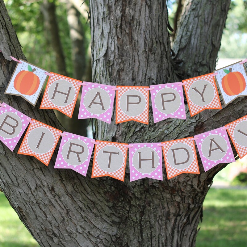 Pumpkin Birthday Decorations - Etsy