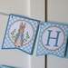 Peter Rabbit Birthday Banner Little Bunny Birthday Decorations Fully ...