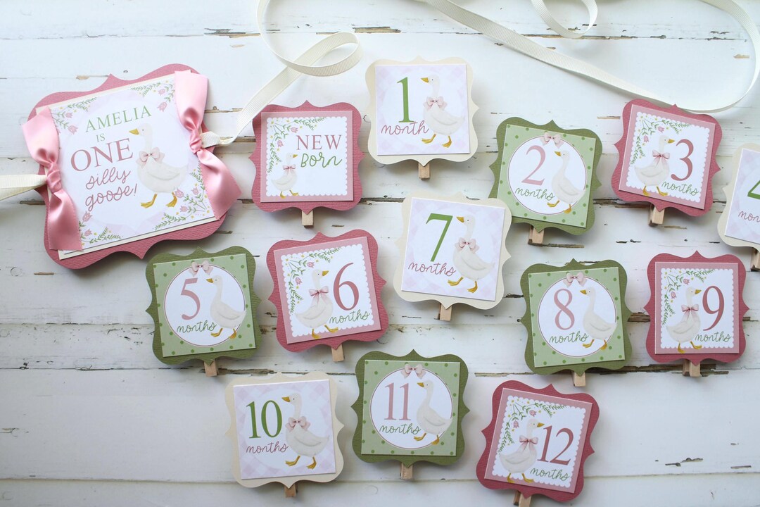 Silly Goose 1st Birthday Photo Banner Cottagecore Milestone Display - Etsy