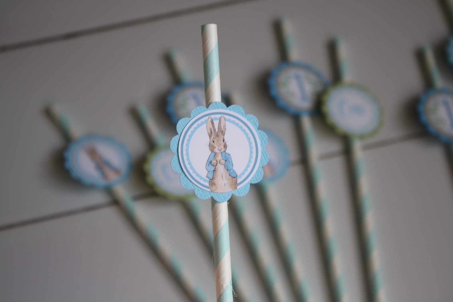 Peter Rabbit Birthday Party Straws With Tags Easter Bunny | Etsy