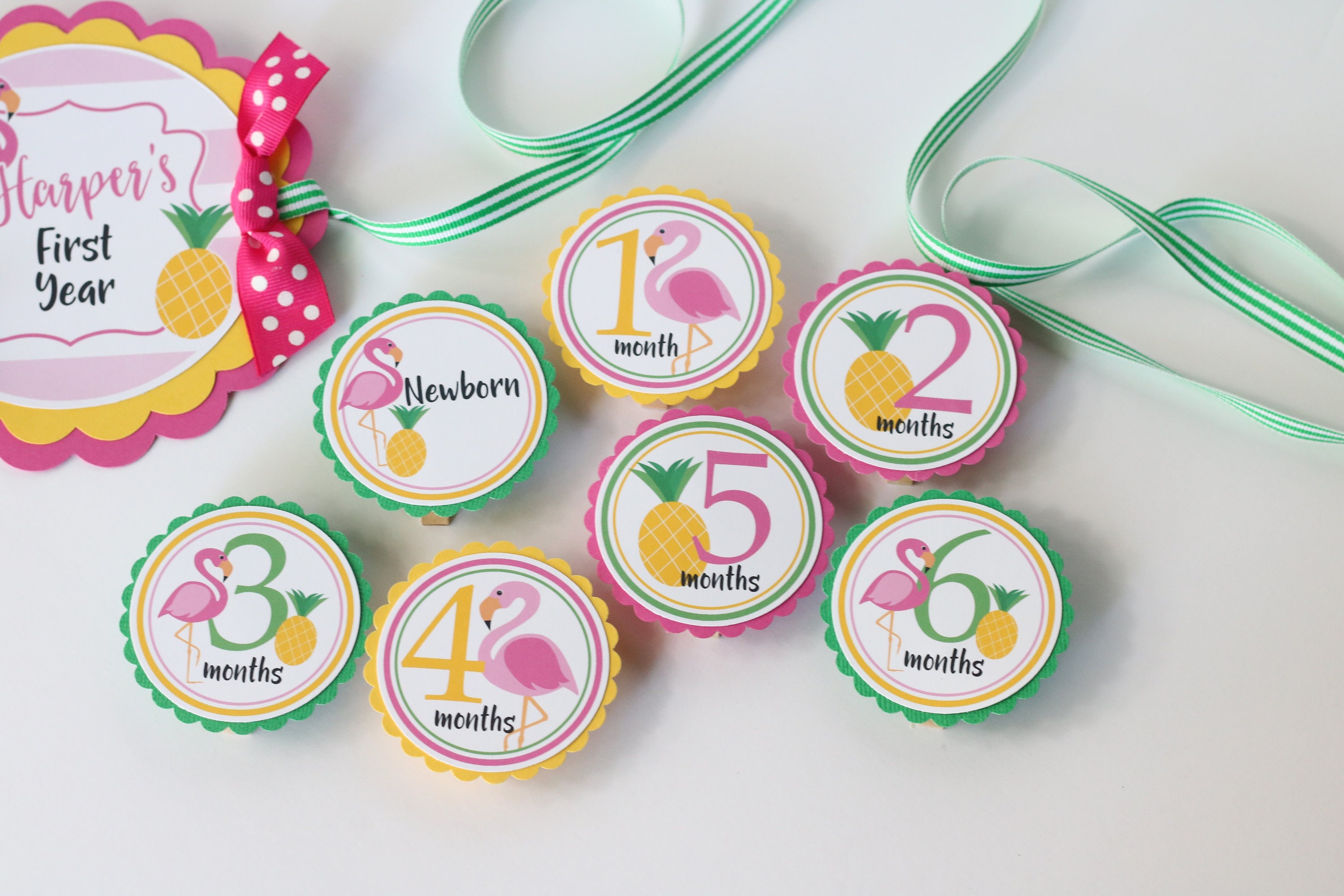 Flamingos & Pineapples Birthday Photo Banner 12 Month Photo | Etsy