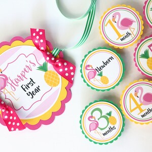 Flamingos & Pineapples Birthday Photo Banner, 12 Month Photo Banner ...