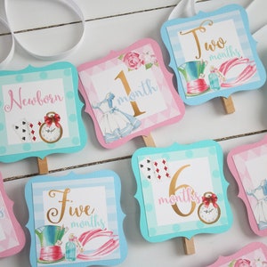 Alice in Onederland First Birthday Photo Banner, 12 Month Banner ...