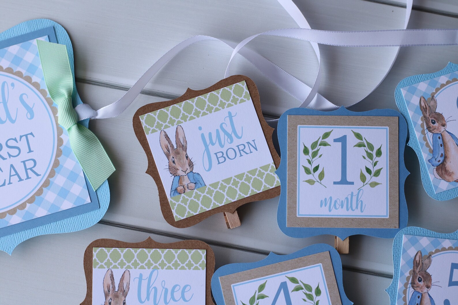 Peter Rabbit Birthday Decorations Package, First Birthday Party Decor ...