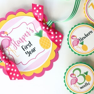 Flamingos & Pineapples Birthday Photo Banner, 12 Month Photo Banner ...