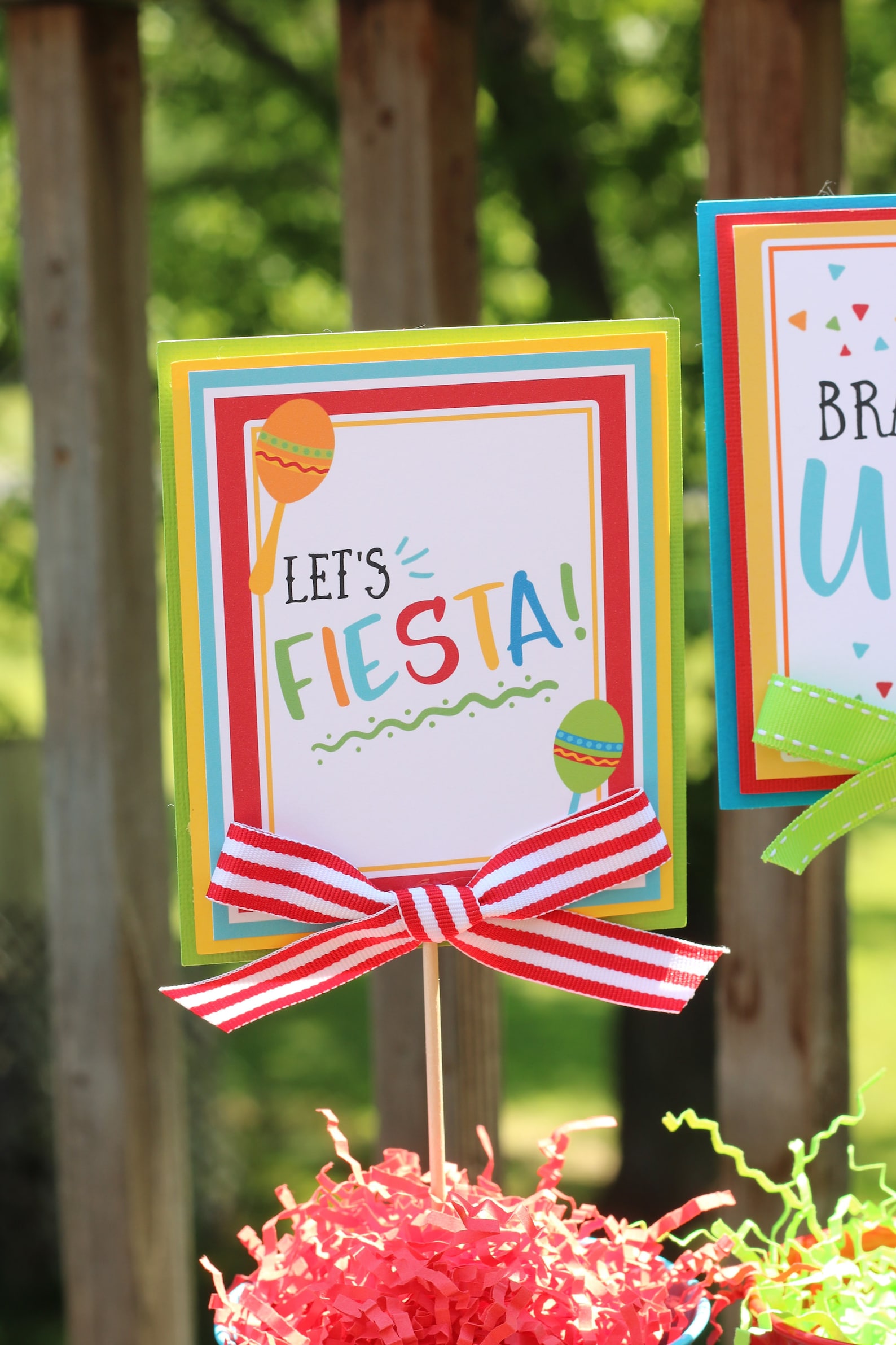 Fiesta Birthday Centerpiece Sticks, Cactus Party Decorations, My First ...