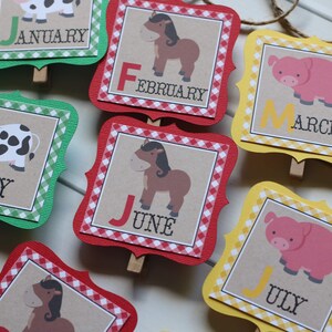 Farm Animals Birthday Photo Banner - 12 Month Photo Banner - Farm ...