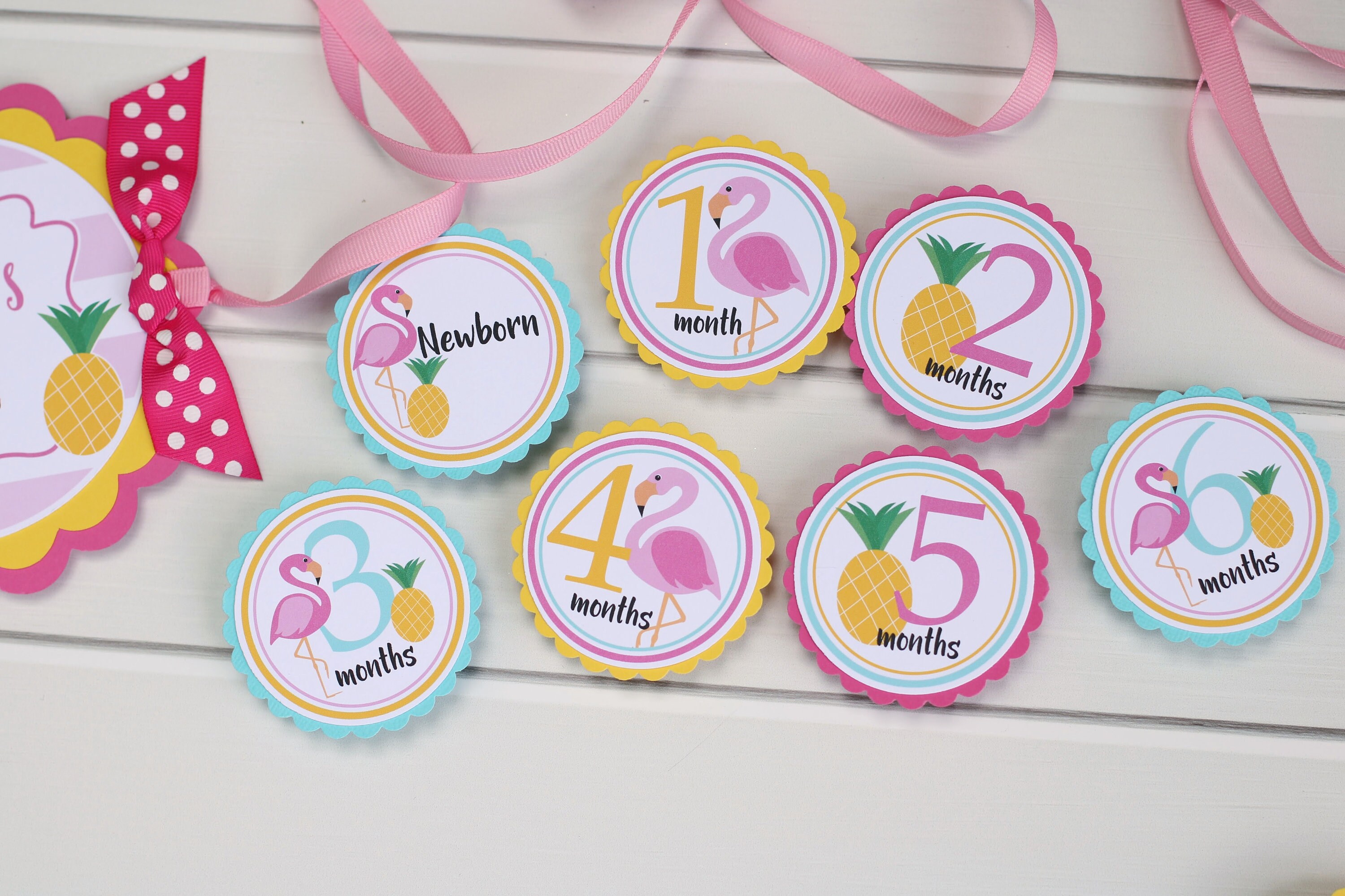 Flamingos & Pineapples Birthday Photo Banner 12 Month Photo | Etsy