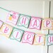 Flamingos Pineapples Birthday Banner - Pink Flamingo and Pineapple ...