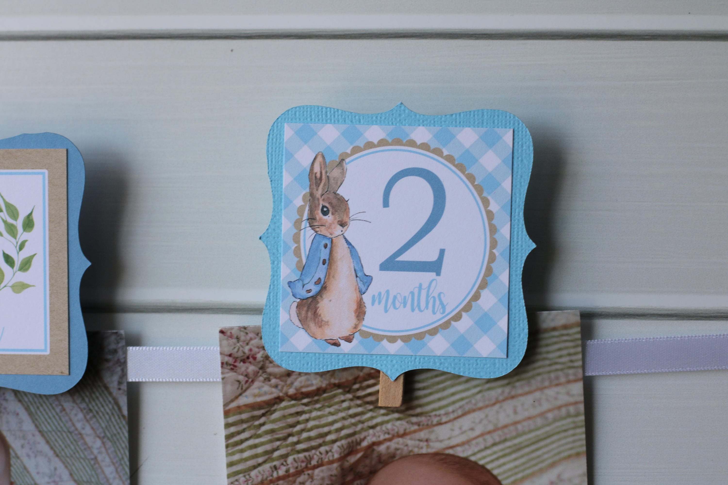 Peter Rabbit Birthday Photo Banner - 12 Month Baby's First Year Photo ...