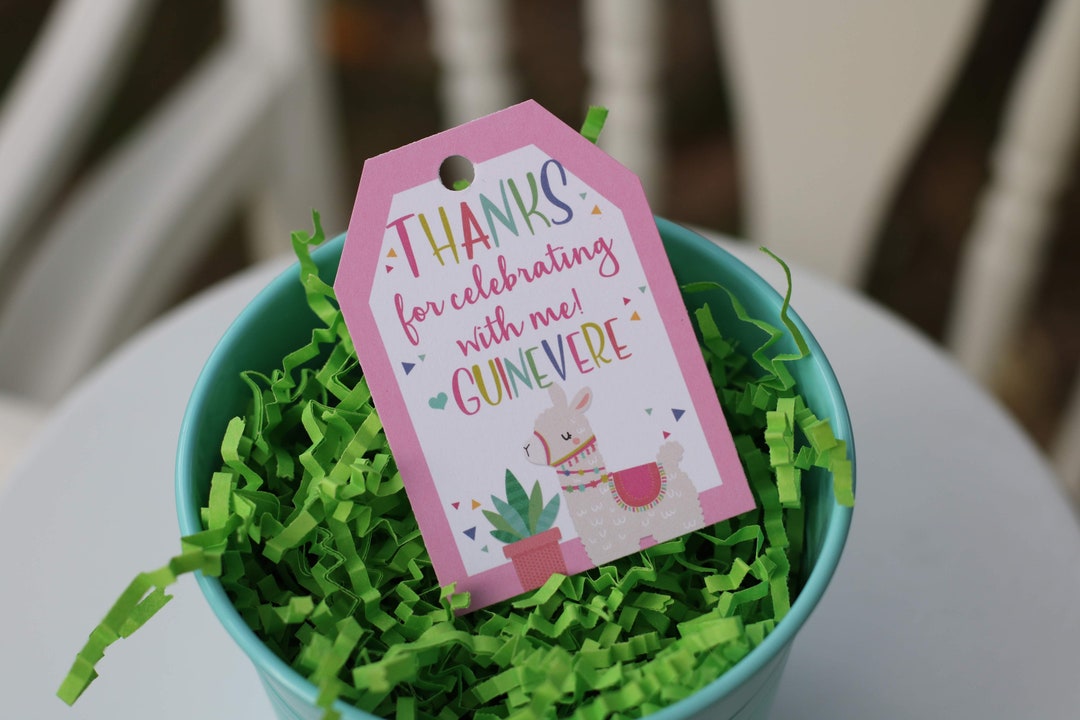Llama Cactus Birthday Party Favor Tags/stickers Llama Fiesta - Etsy