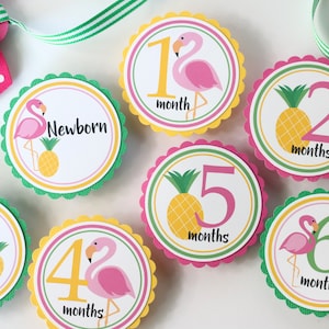 Flamingo & Pineapple FIRST BIRTHDAY Package - High Chair Banner ...
