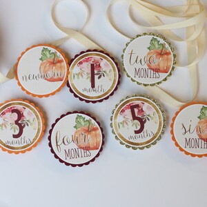 WATERCOLOR PUMPKIN First Birthday Photo Banner 12 Month Photo - Etsy