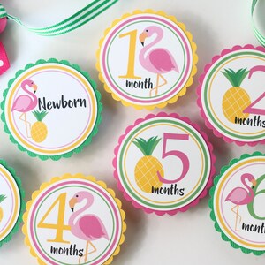 Flamingos & Pineapples Birthday Photo Banner, 12 Month Photo Banner ...