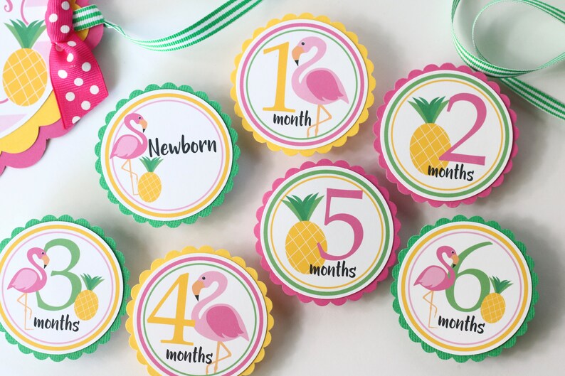 Flamingos & Pineapples Birthday Photo Banner 12 Month Photo | Etsy