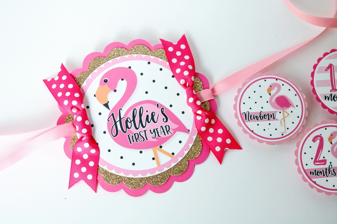 Flamingo Birthday Photo Banner - 12 Month Photo Banner - Flamingo Pink ...