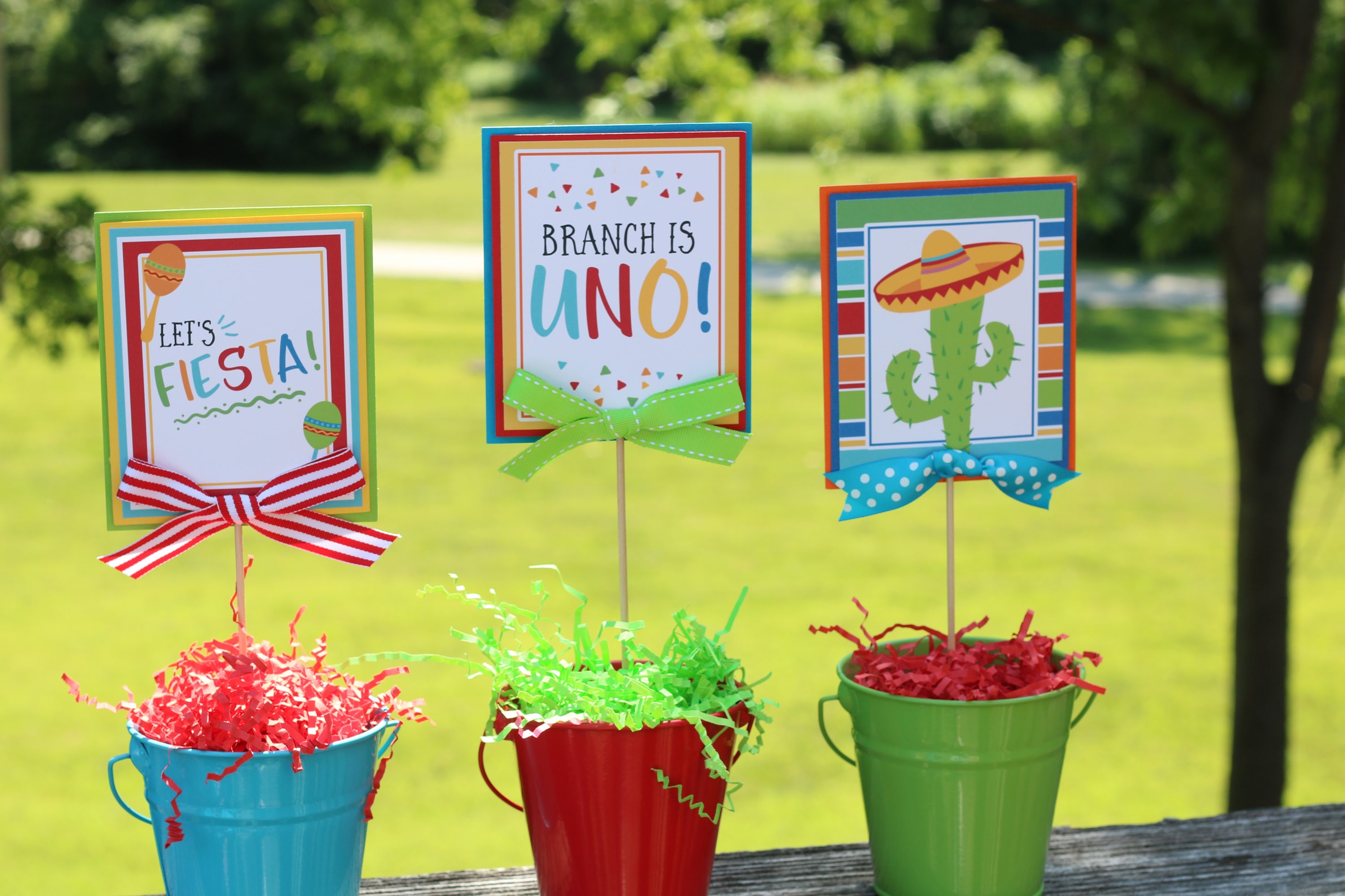 Fiesta Birthday Centerpiece Sticks, Cactus Party Decorations, My First ...