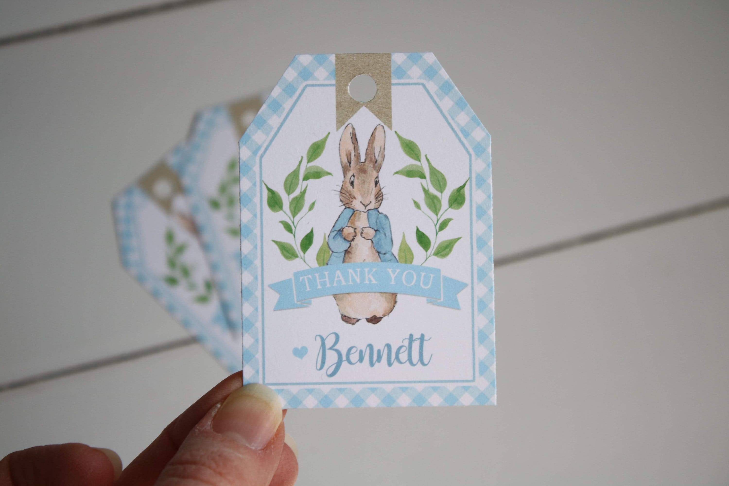 Peter Rabbit Birthday Party Favor Tags/stickers Blue Gingham | Etsy