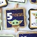 Baby Yoda First Birthday Photo Banner, One With the Force 12 Month ...