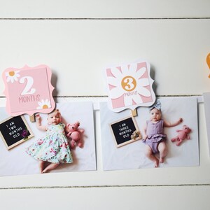 Pink Daisy First Birthday Photo Banner, 12 Month Banner, Monthly Banner ...
