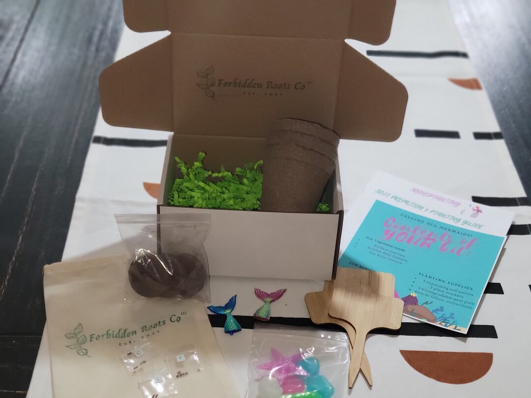 Enchanted Mermaid Kit, Cute Gift for Girls, Mermaid, Kids Gardening Kit ...