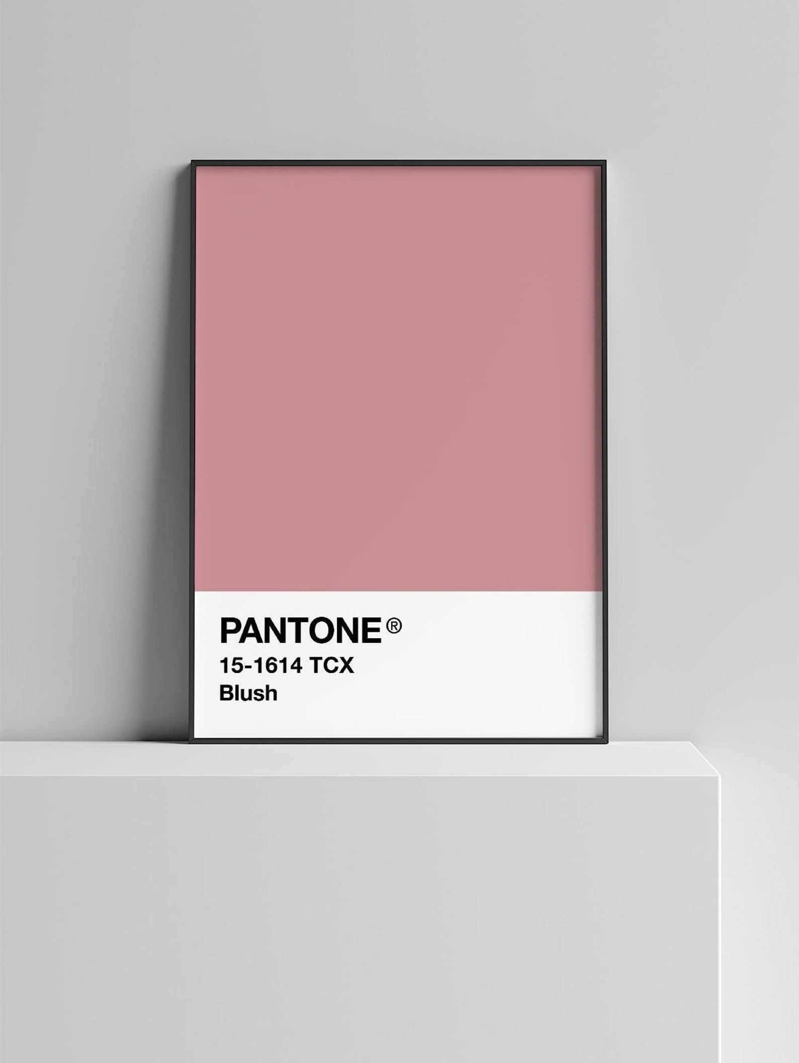 Blush Pantone Pink Pantone Pink Pantone Poster Blush Etsy Blush Pantone Pink Pantone Pink Pantone Poster Blush Etsy