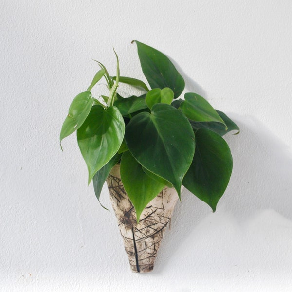 Ceramic Wall Planter - Etsy
